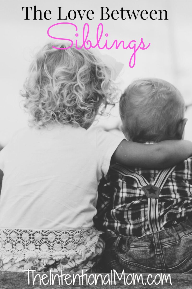 The Love Between Siblings - The Intentional Mom