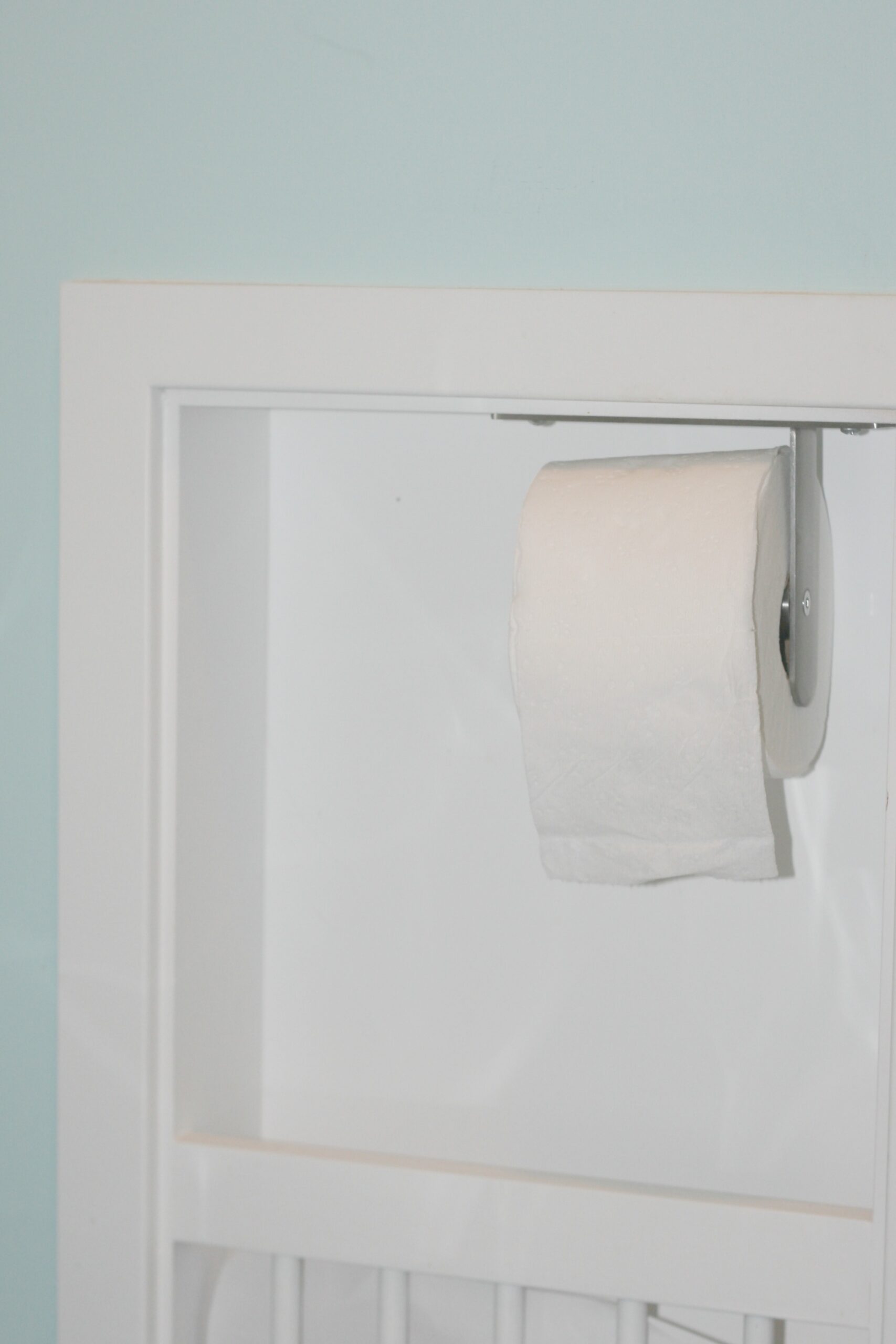 Let's Talk Toilet Paper - The Intentional Mom
