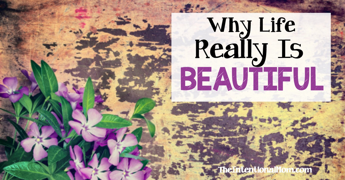 Why Life Really Is Beautiful