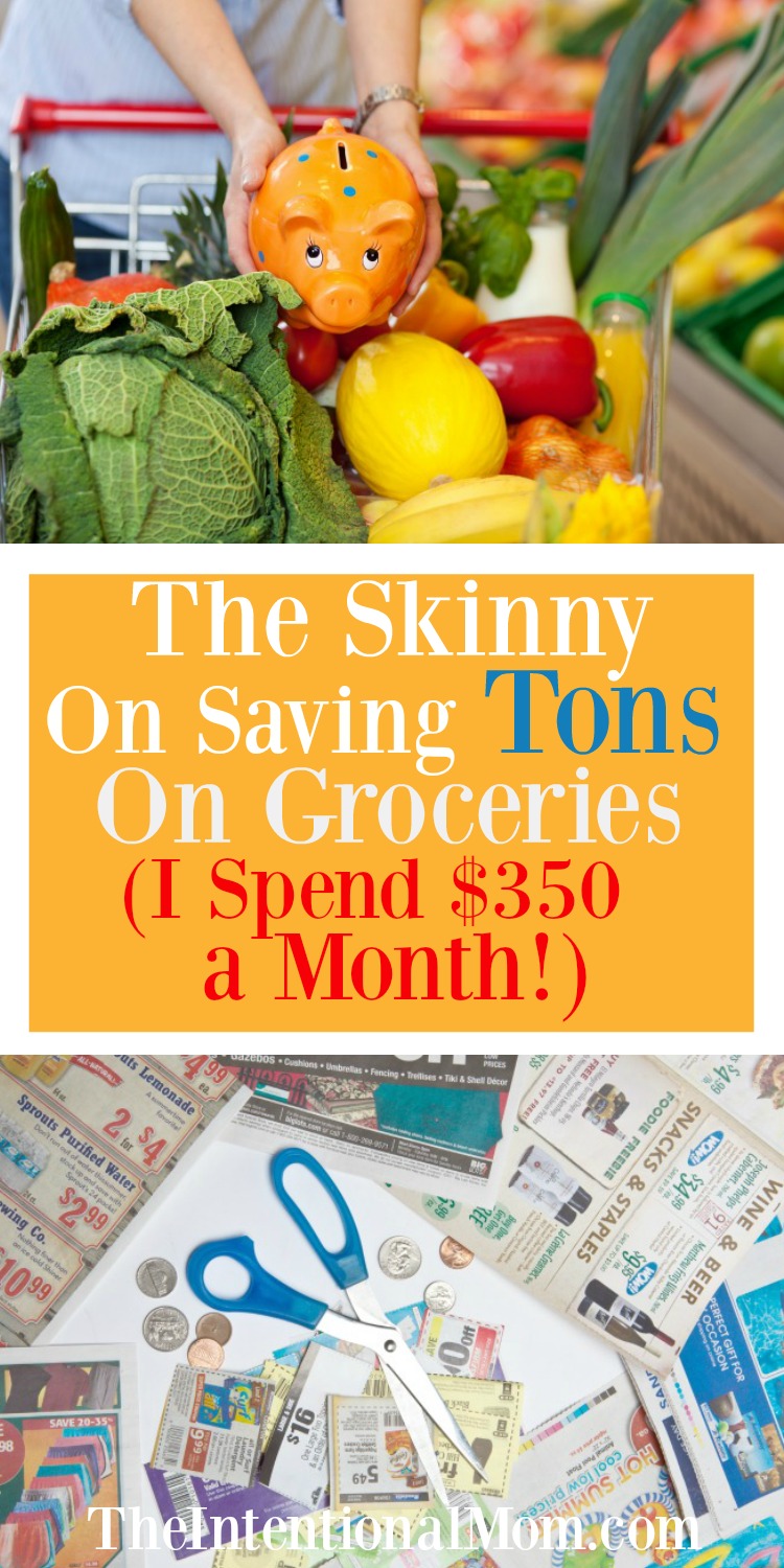 The Skinny On Saving TONS On Groceries I Spent 250 A Month 