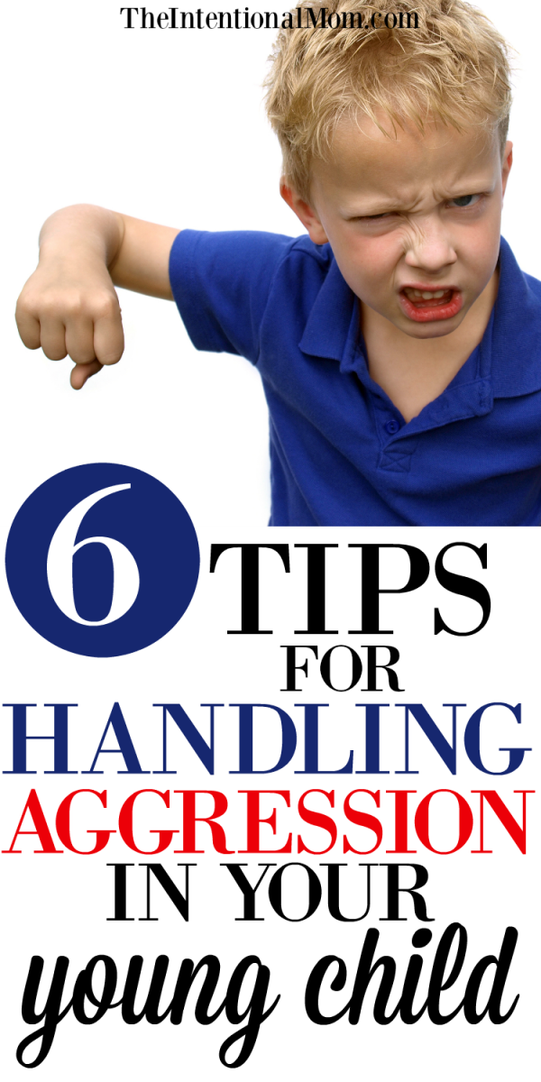 6 Tips For Handling Aggression In Your Young Child